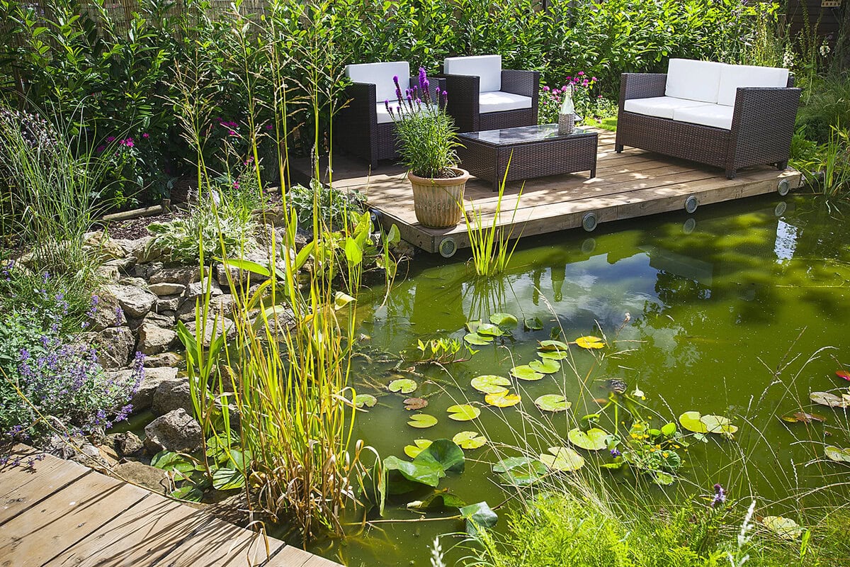 Een onderhoudsarme rotstuin aanleggen: ideeën en tips - Gardeners World